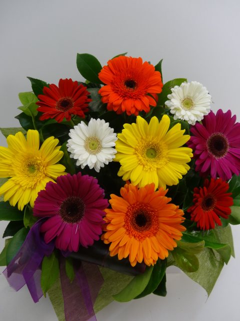 gerbera box – Bliss Flowers